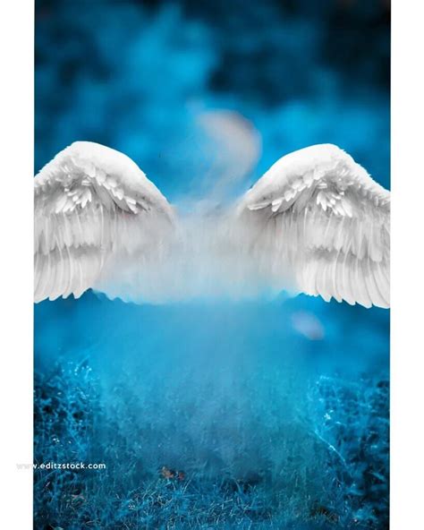 Wing Cb Background Editing