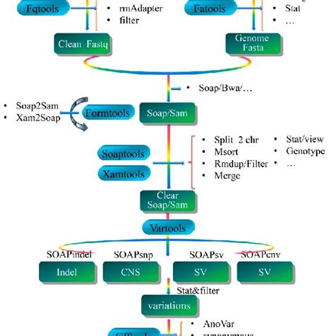 Pipeline For Variation Detection An Example Of Routine Variation Download Scientific Diagram