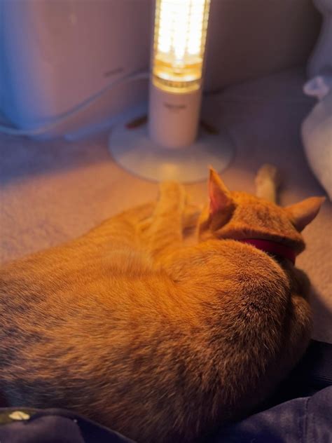 Photo Posted By Ko3 Ko3 Untitled