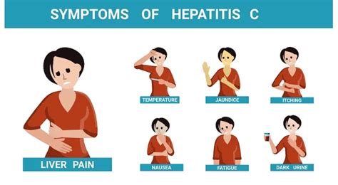 Hepatitis Symptoms In Women Overview Of Viral Hepatitis Hepatitis Symptoms In Women Overview Of Viral Hepatitis