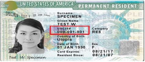 What Is An Alien Registration Number And How To Find It Imagility