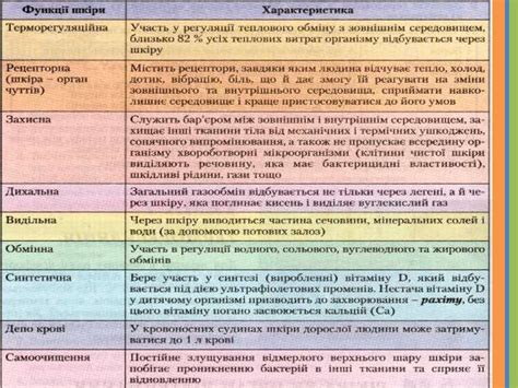 Шкіра людини Будова функції презентация онлайн