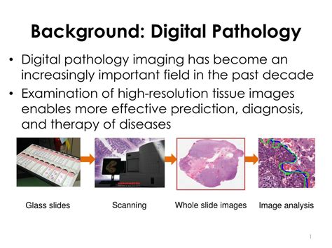 Ppt Accelerating Pathology Image Data Cross Comparison On Cpu Gpu