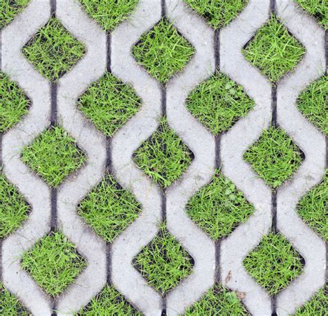 Grass Pavement Texture
