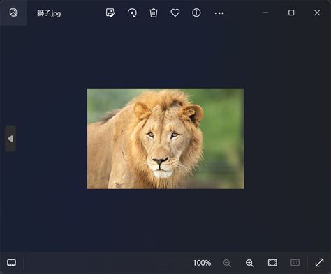 Onnx Runtime入门示例：在c中使用resnet50v2进行图像识别qt6 Onnxruntime 图像设别 Csdn博客