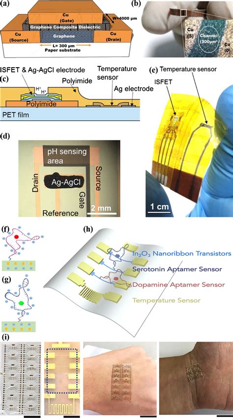 Important Developments In Wearable Fet Based Biosensors A Simple Download Scientific Diagram