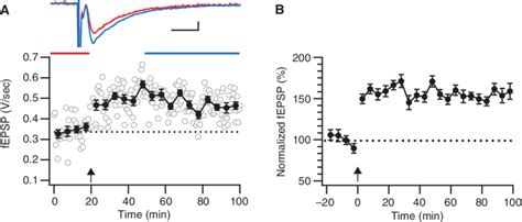 Theta Burst Ltp A Sample Theta Burst Induction Experiment Showing Download Scientific