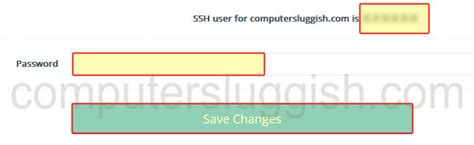 Can T Upload Files On Cyberpanel File Manager Heres How To Fix It