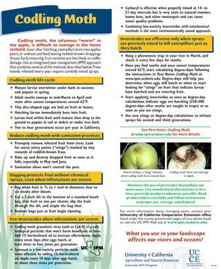 Codling Moth Quick Tips Natural Pest Control Pdf