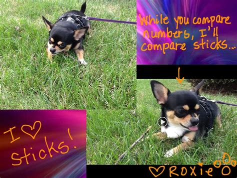 Topic Math 4th Grade Showme Online Learning