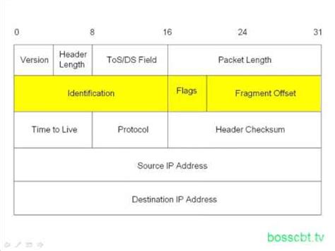 2 The IPv4 Packet YouTube