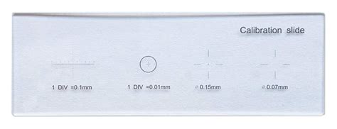 Calculate The Scale Extreme Macro And Paleontology
