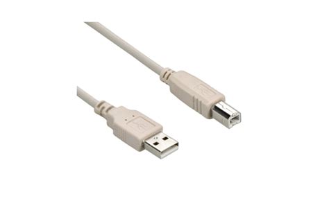 Usb Cable A Male To B Male Usb20 6 Ft Ivory