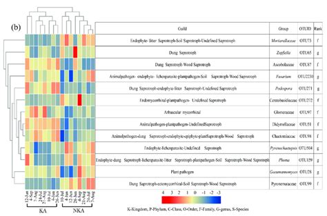 The Heatmap Clustering And Distribution Of Bacterial A And Fungal B Download Scientific