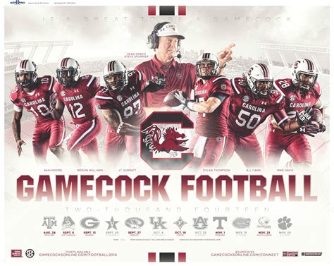 South Carolina Gamecocks Wallpapers