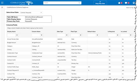 how to access the schema explorer