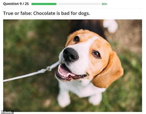 Can You Ace This General Knowledge Test Daily Mail Online