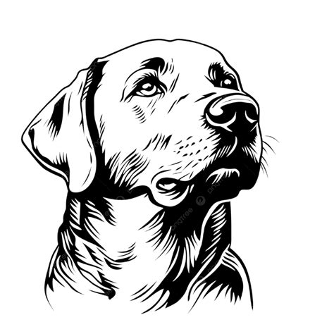 Chiens Clipart Noir Et Blanc