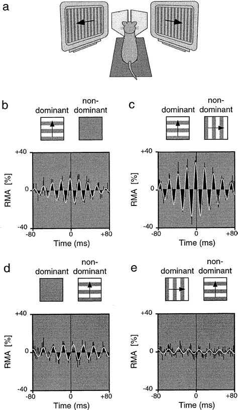 Neuronal Synchrony A Versatile Code For The Definition Of Relations