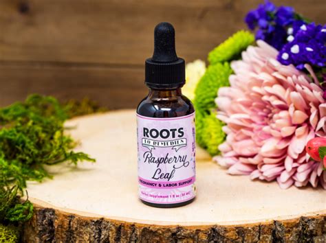 Raspberry Leaf Herbal Extract Roots To Remedies