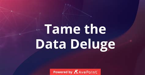 Optimise Your Microsoft 365 Storage