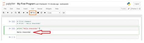 Step 1 Write Your First Python Program Learn Sas Code