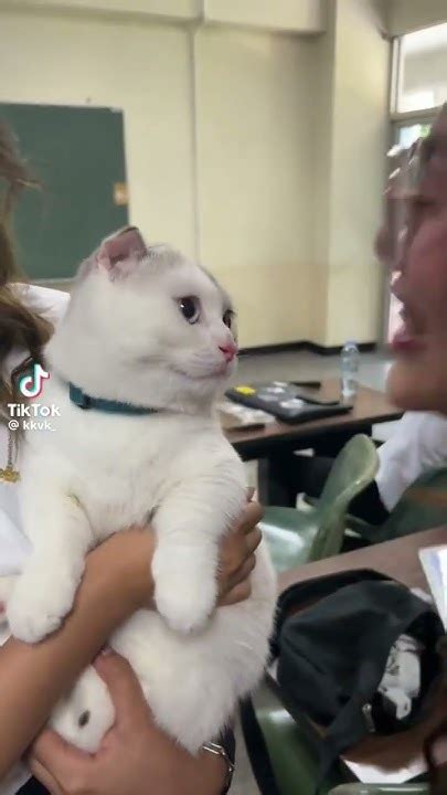 2023 ခုႏွစ္ ဩဂုတ္လ 1 ရက္ Youtube