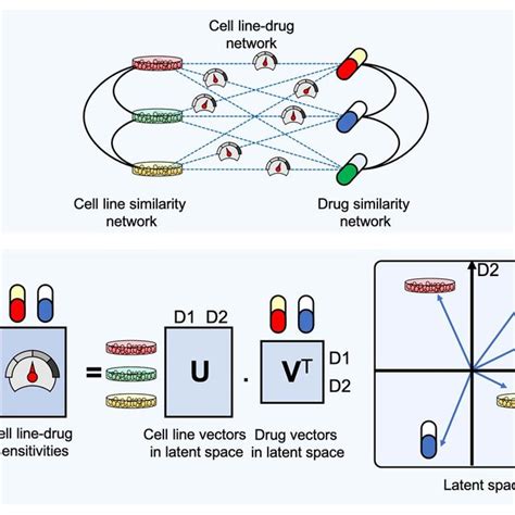 Artificial Neural Networks In Drug Response Prediction Can Be Download Scientific Diagram