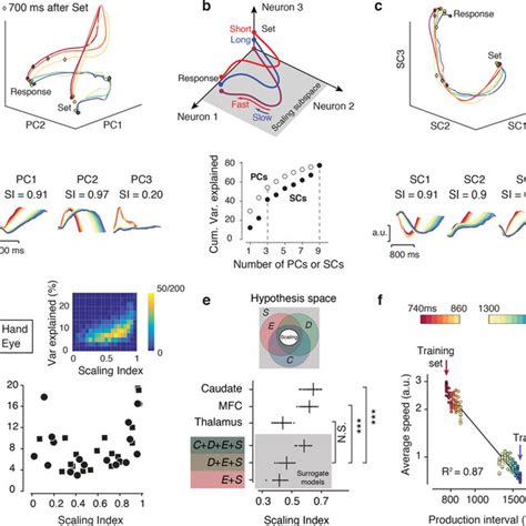 Temporal Scaling In The Medial Frontal Cortex At The Population Level Download Scientific