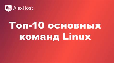 Топ 10 основных команд Linux ⋆ Alexhost Srl