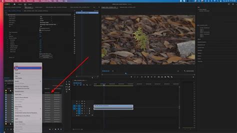 Como Selecionar E Usar Os Melhores Luts Braw