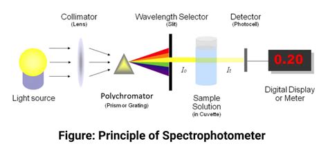 Colorimeter Vs Spectrophotometer Which Is A Better Buy