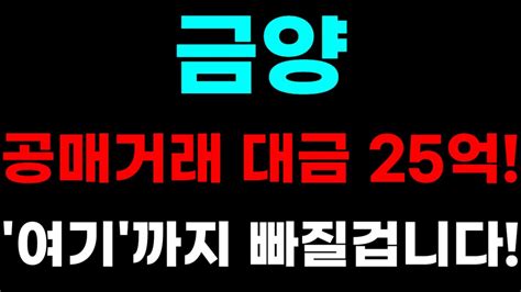 금양 공매거래 대금 25억 여기까지 빠질겁니다 금양 금양주가 금양공시 박순혁 박순혁이사 김작가tv 삼프로tv 2차전지 2차전지관련주 2차전지