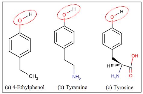 1 Structures Of A P Ethylphenol B Tyramine And C Tyrosine