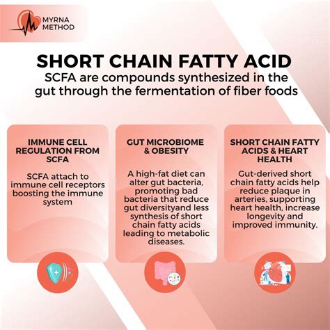 What Are Short Chain Fatty Acids Why Are Scfa So Critical For Health