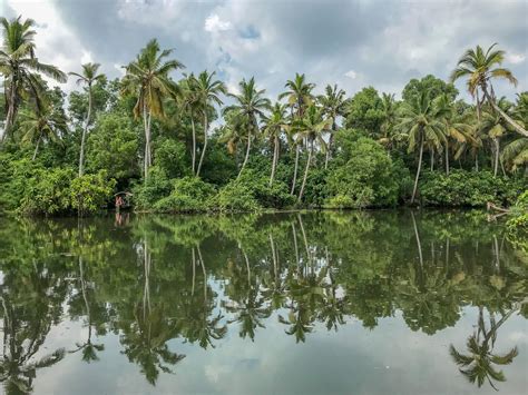 Kerala Top Reasons To Go And What To See And Do There Part