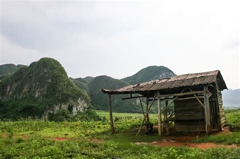 쿠바의 유네스코 세계 문화 유산인 비냘레스의 언덕이 많은 산악 지형에 위치한 오래된 외양간은 열대 정글에 자리 잡은 소박한 농지와 동굴을 보여줍니다 0명에 대한 스톡 사진