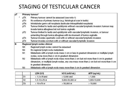 Testicular Cancer Nursing Interventions At Robert Hambright Blog