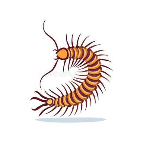 Striped Centipede Arthropod With Legs Vector Illustration Stock Vector
