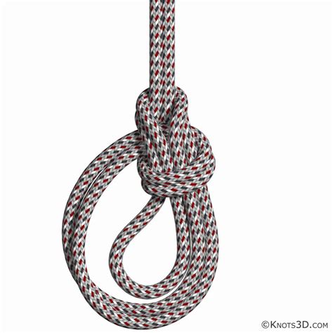 Gassa Damante Tripla Animazione Del Nodo Nodi 3d