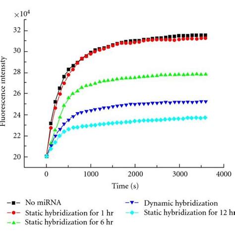 The Dynamic Hybridization Resulted In A Decrease In Hybridization Time Download Scientific