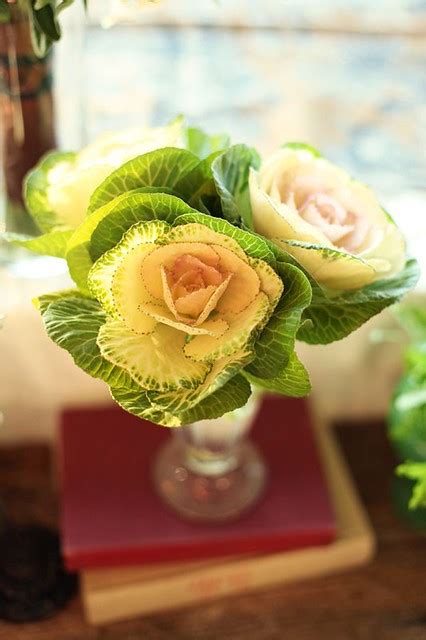 Things That Inspire Ornamental Kale