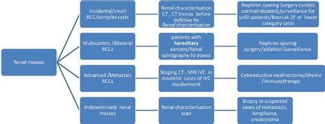 Imaging Algorithm And Management Strategies In Accordance With Type Of Download Scientific