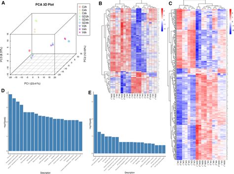 Differences Between Transcript Expression Profiles In Hela Cells Download Scientific Diagram