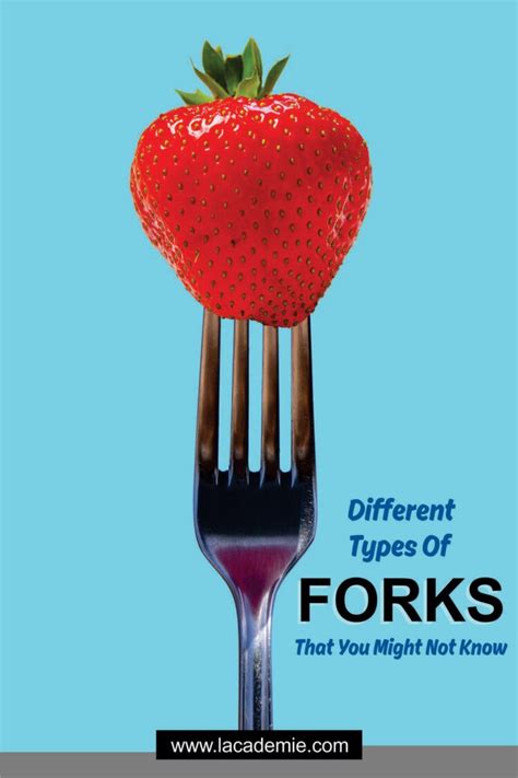 21 Unique Fork Types A Comprehensive Guide For 2024
