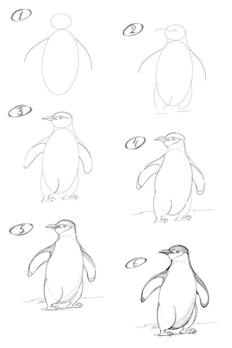 How To Draw A Penguin With A Pencil Step By Step Drawing Tutorial Artofit
