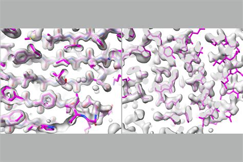 Researchers Assess Deepmind Alphafold Ai Model Accuracy Elements For