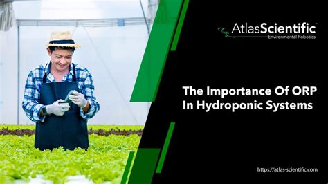 How To Calibrate Your Conductivity Meter Atlas Scientific