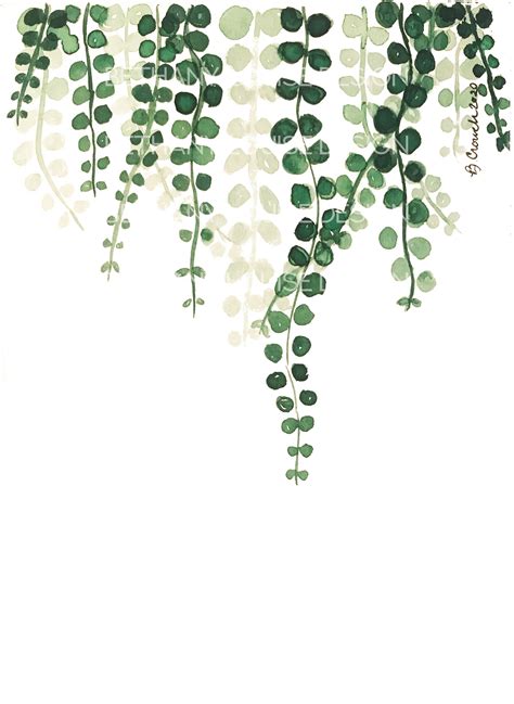 Trailing Vines X DIGITAL ART Etsy