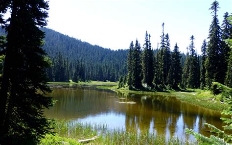 Walupt Lake Campground In Ford Pinchot National Forest Washington Reviews And Photos 2025